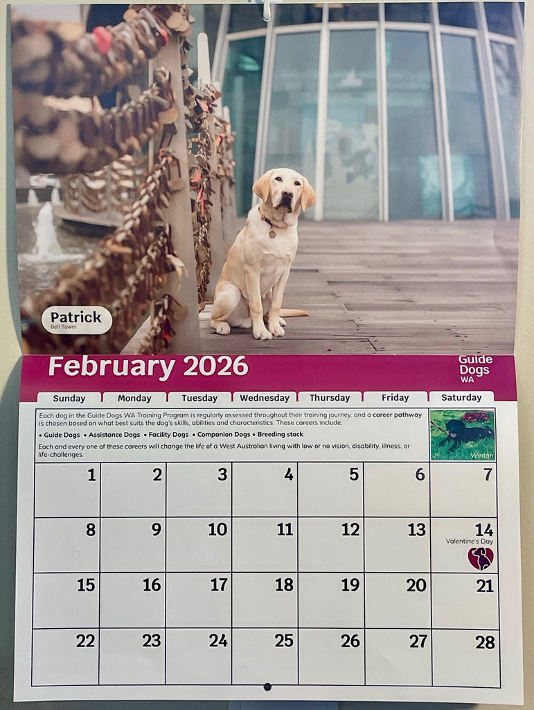 Guide Dogs WA 2026 Calendar – VisAbility Ltd - Living Aids
