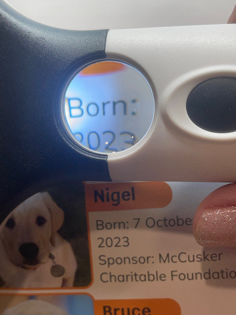 4X Hand-Held Magnifier (4 LED) – VisAbility Ltd - Living Aids